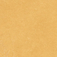 Spectra Mustard Special Concrete Tiles for Wall and Floor | Simpolo ...