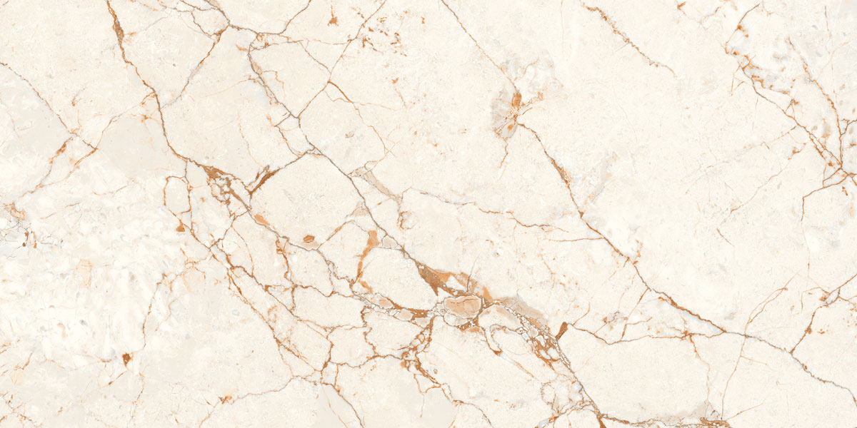 BM-2021 Tiles for Wall & Floor | Simpolo Tiles & Bathware